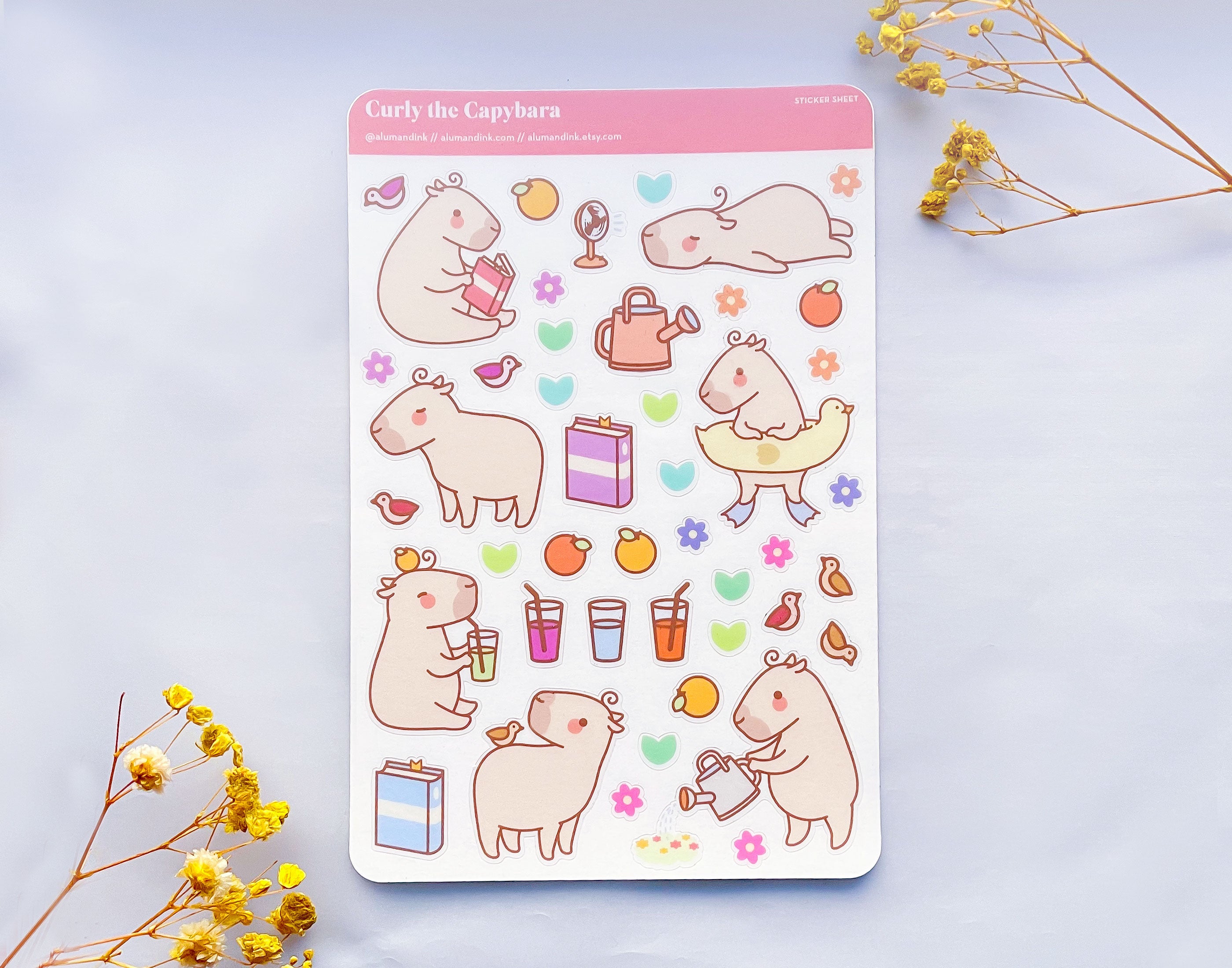 Curly the Capybara Clear Vinyl Sticker Sheet – Alum and Ink