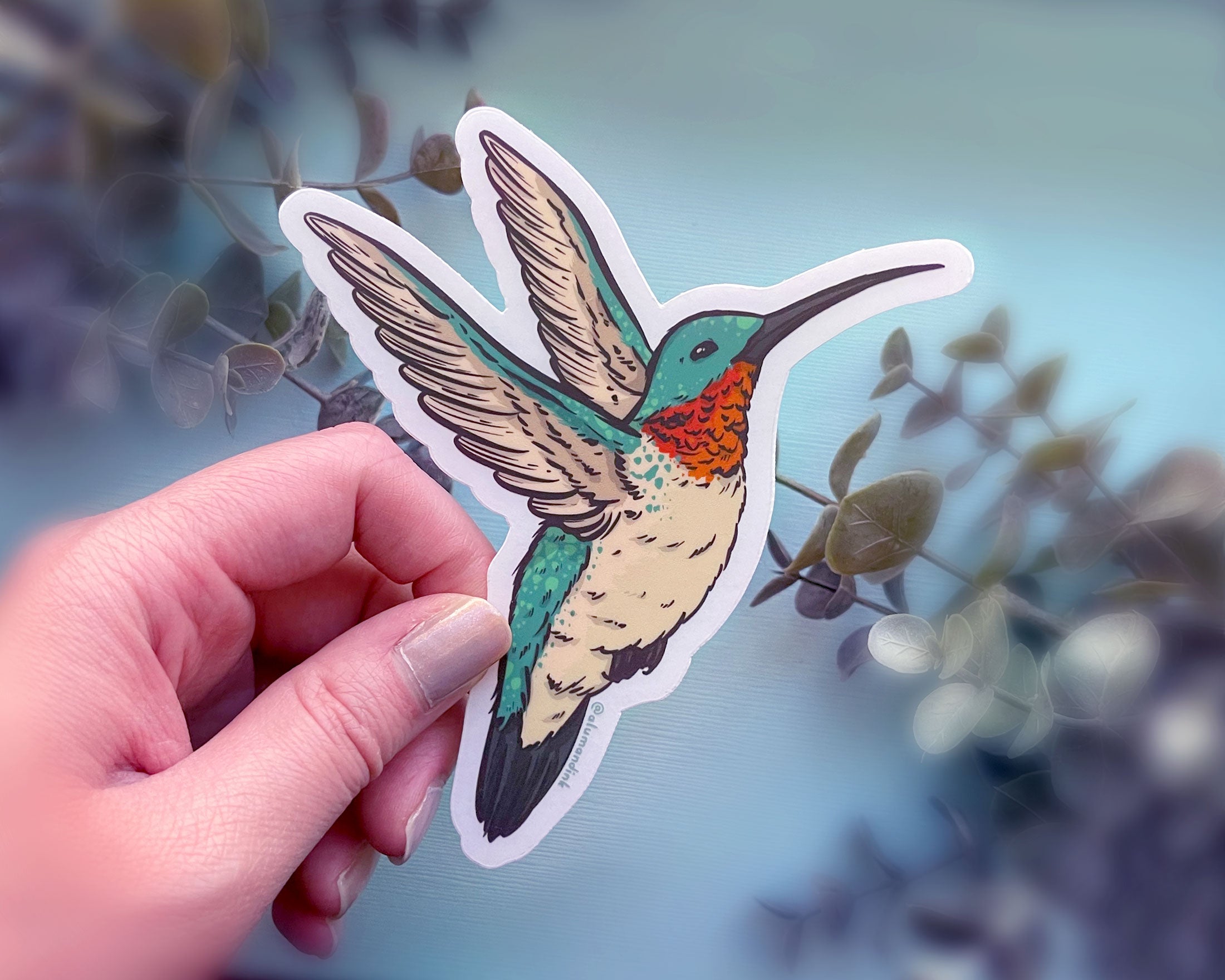 Ruby-Throated Hummingbird Clear Vinyl Sticker – Alum and Ink