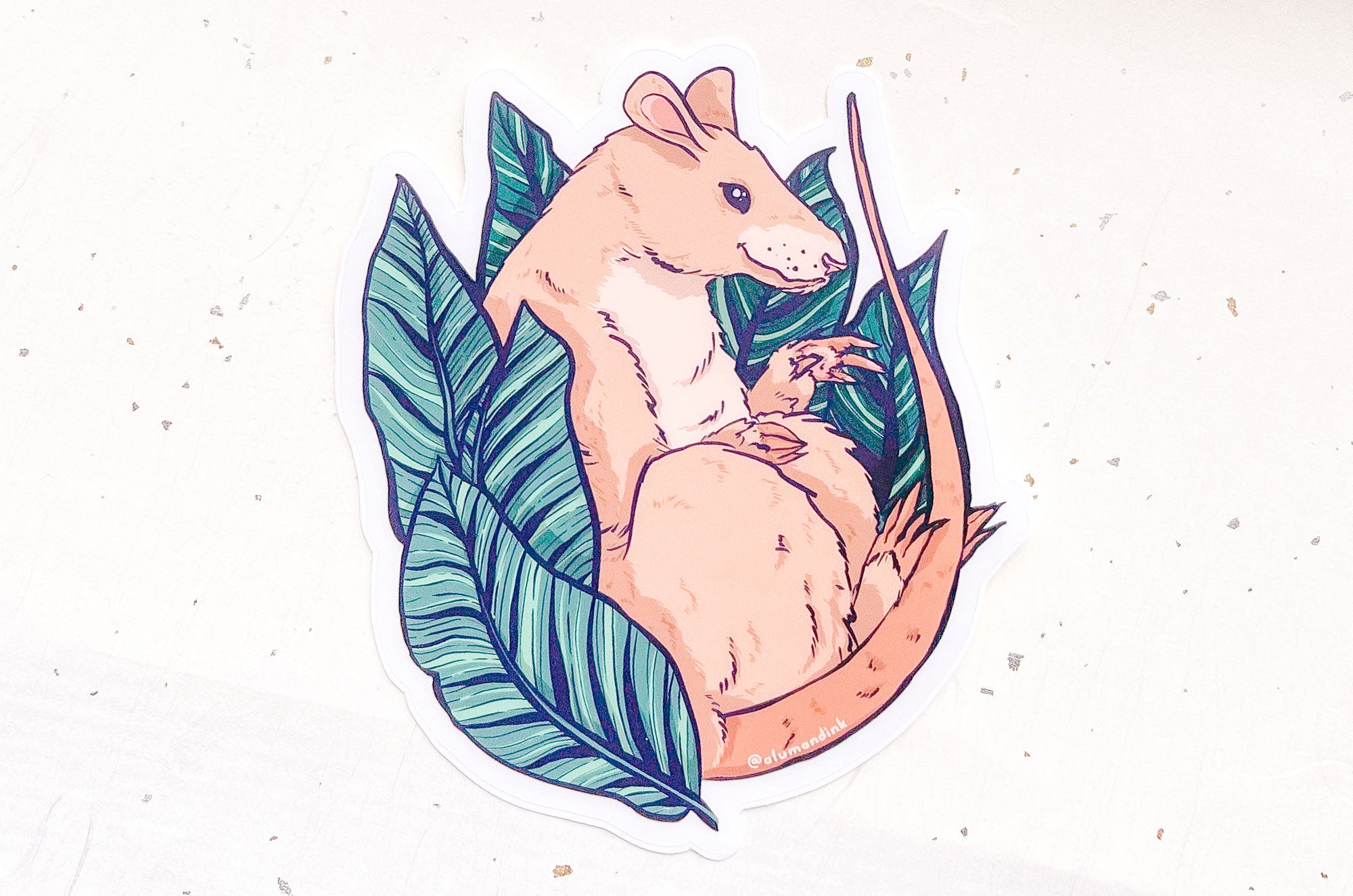 Giant Pouched Rat Clear Vinyl Sticker – Alum and Ink