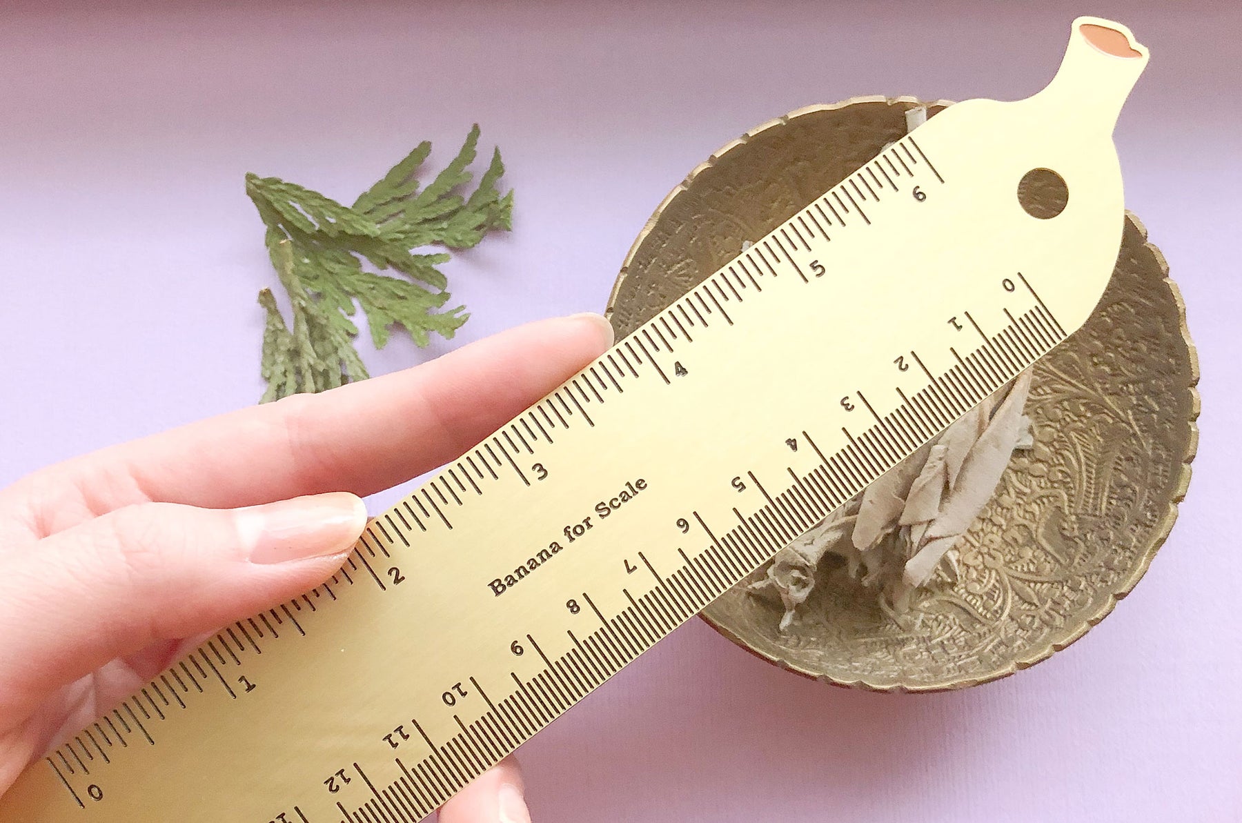 Banana for Scale Ruler – Alum and Ink