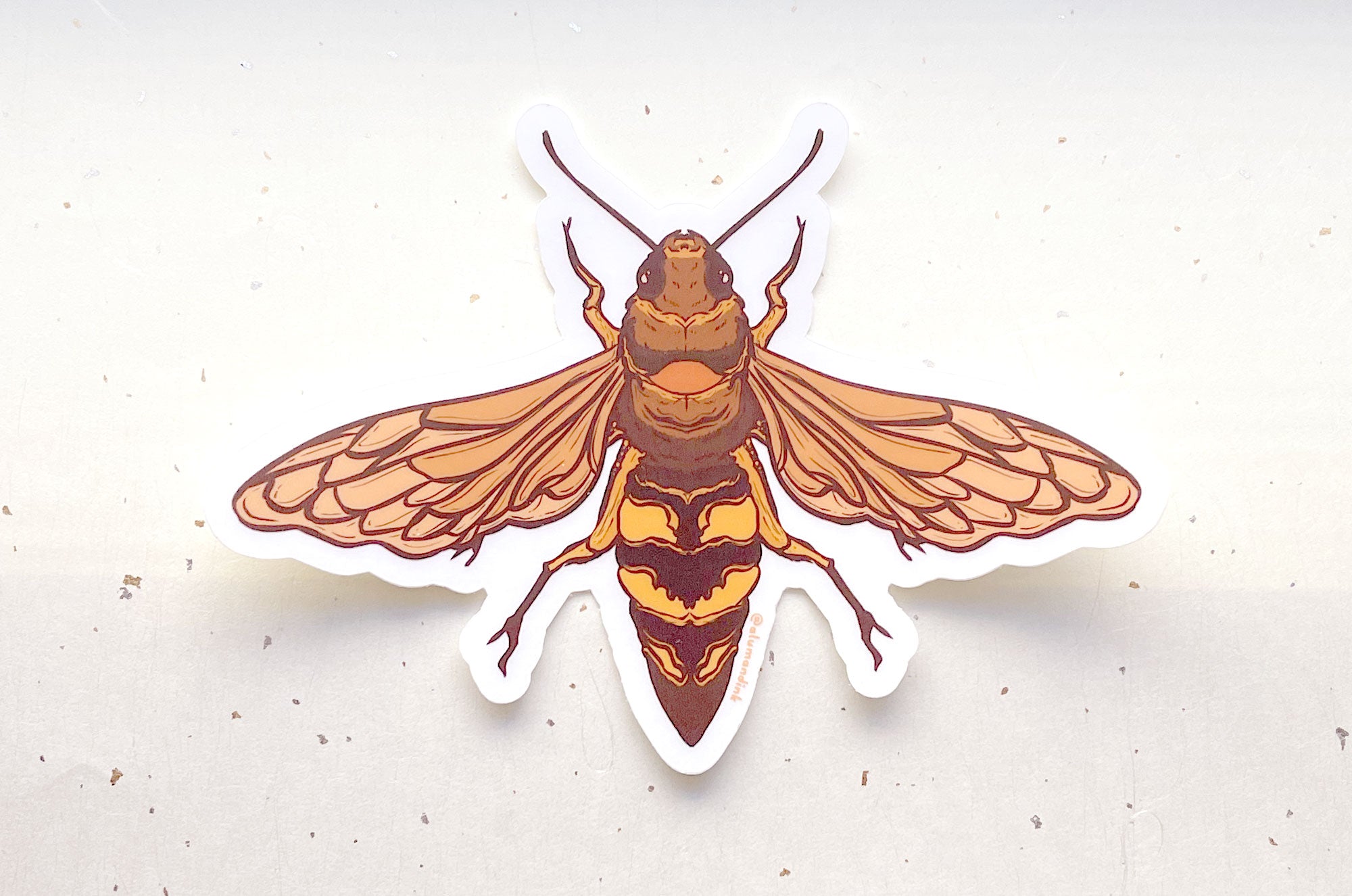Cicada Hawk Wasp Clear Vinyl Sticker – Alum and Ink