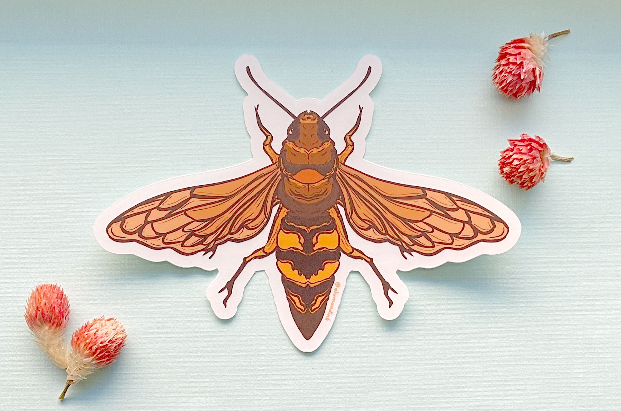 Cicada Hawk Wasp Clear Vinyl Sticker – Alum and Ink